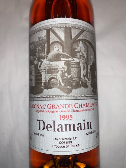Delamain 1995 Cognac Grande Champagne 70cl – Wine Raks
