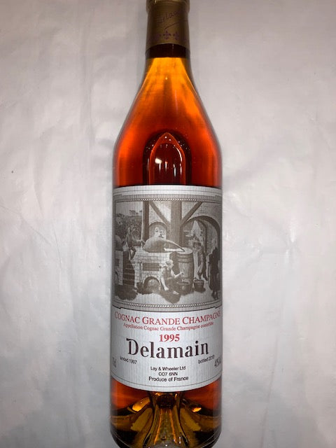 Delamain 1995 Cognac Grande Champagne 70cl – Wine Raks